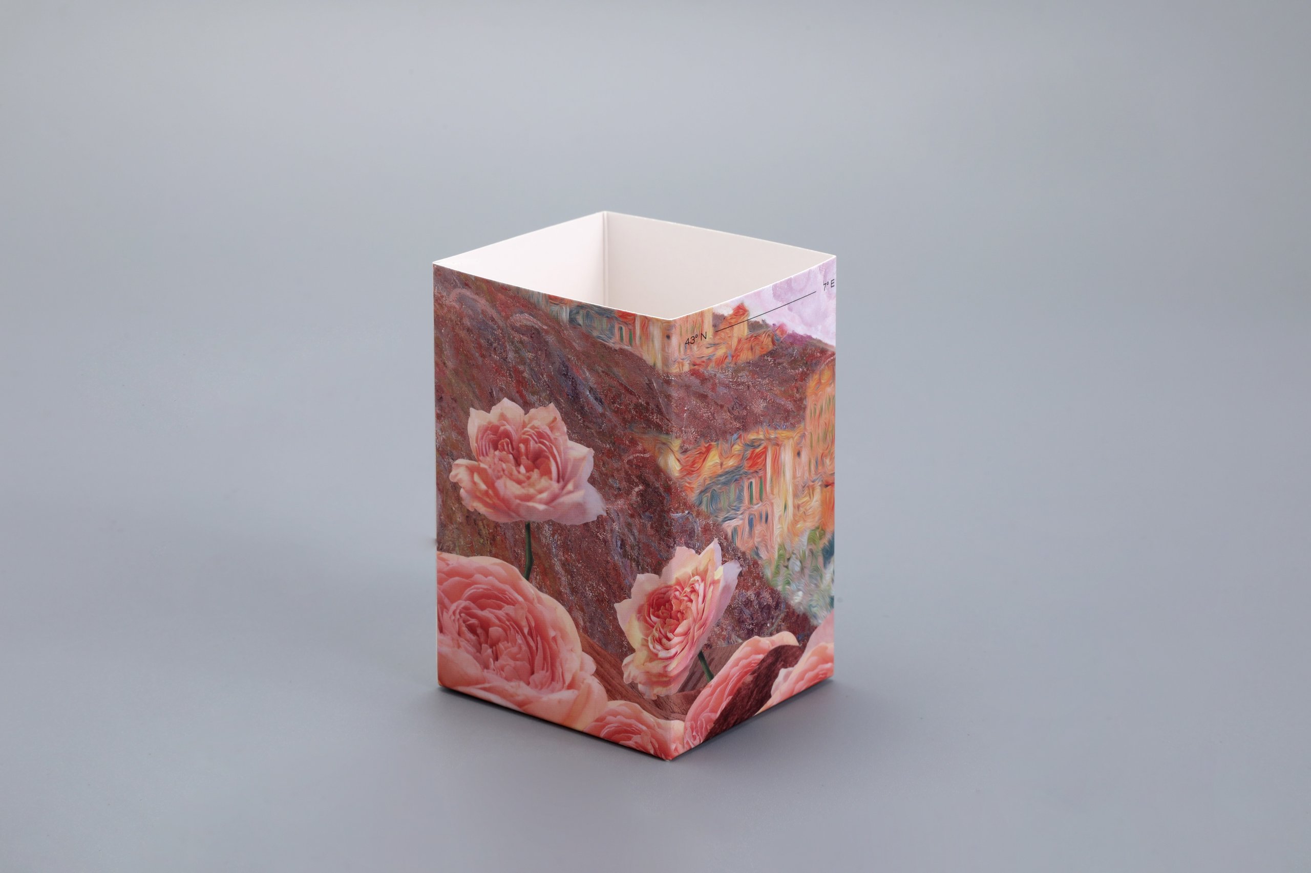 Box Artwork Design - WITPAX